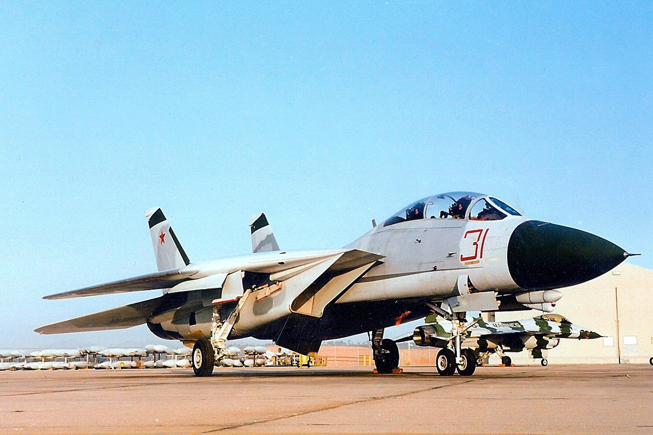 24x36 gallery poster, F-14 Tomcat of NFWS (TOPGUN) NAS Miramar 1993 ...