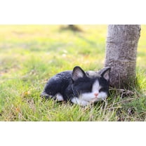 Hi-Line Gift Ltd Cat Sleeping Tabby, Grey - Walmart.com