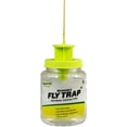 RESCUE! Non-Toxic Reusable Outdoor Fly Trap for House and Filth Flies ... RESCUE! Non-Toxic Reusable Outdoor Fly Trap for House and Filth Flies ...