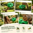 Dinosaur Head Squirrel Feeder, Fun Shaped Outdoor Feeding Tool ...