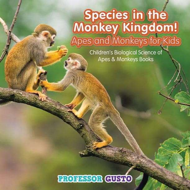 Species in the Monkey Kingdom! Apes and Monkeys for Kids - Children's ...