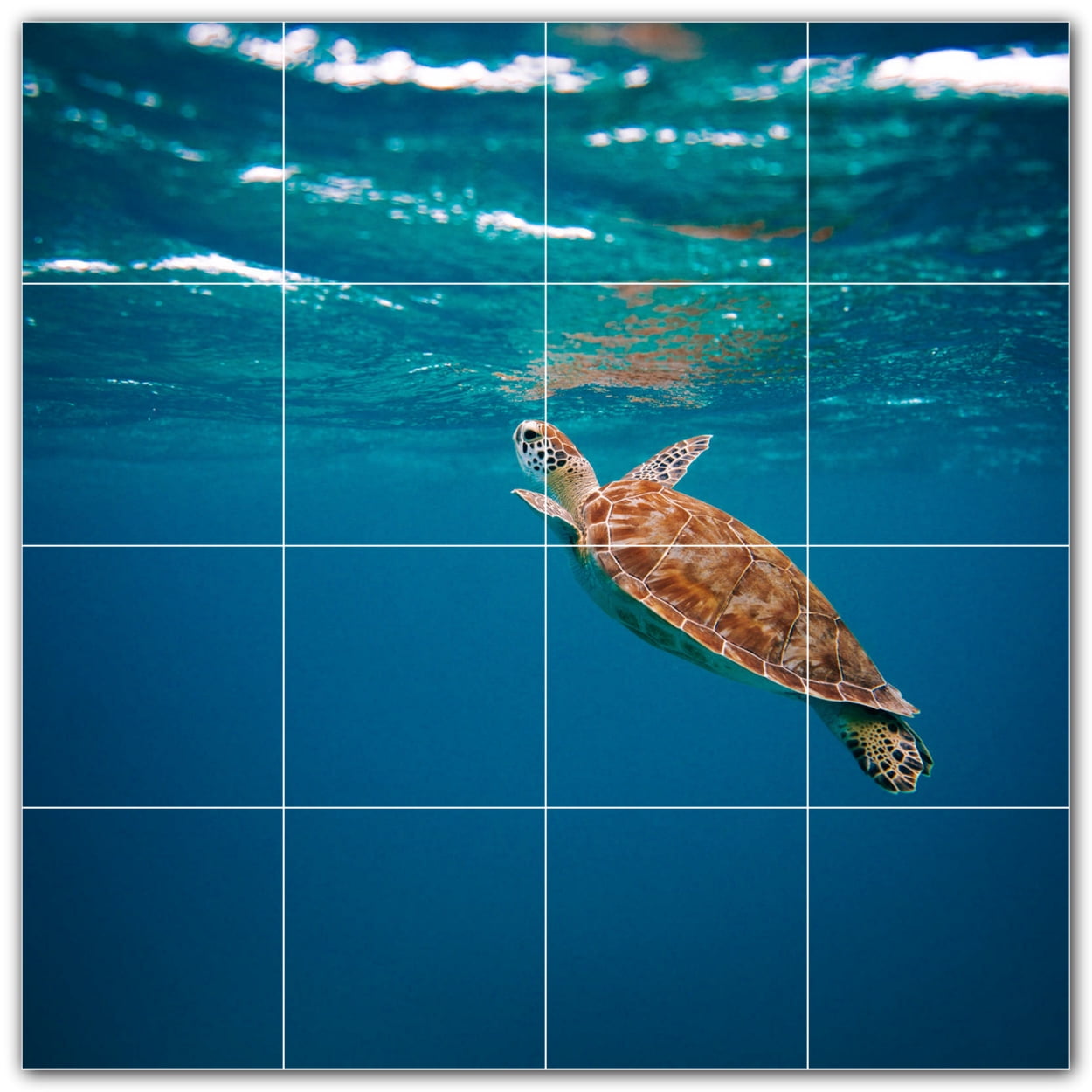 Picture-Tiles.com: Turtle Ceramic Tile Wall Mural WAL501052-44L. 32"W x ...
