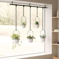 CEWIIAOA Triflora Hanging Planter for Window, Indoor Herb Garden, Set ...