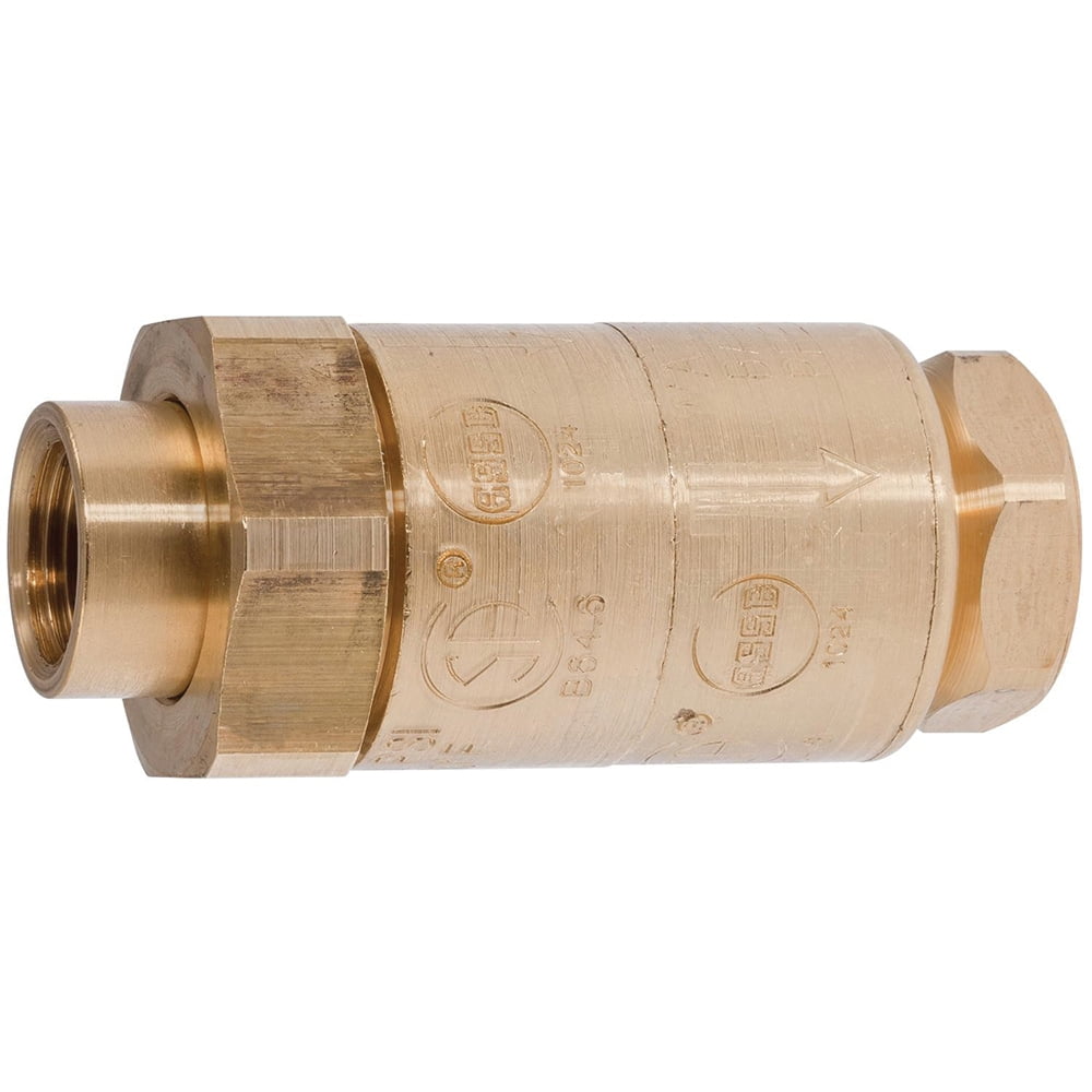 Watts LF7R Dual Check Valve, 3/8 Inch, FNPT, 150 psi, 1-1/4 Inch Hex ...