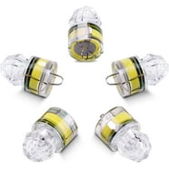 Quarrow 12 Green LED Submersible Fishing Light - Walmart.com