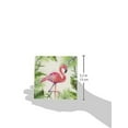 Paperproducts Design PPD 1252707 Disposable Tropical Flamingo Party ...