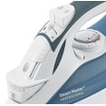 Sunbeam 4274-200 GreenSense SteamMaster Full Size Professional Iron ...