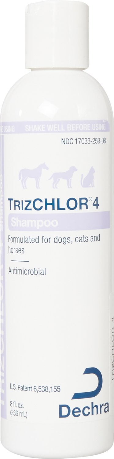 Dechra TrizCHLOR 4 Shampoo for Cats and Dogs 16 oz - Walmart.com