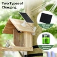 Coziwow Smart Bird Feeder with Camera Outdoor Bird Watching Camera Auto ...