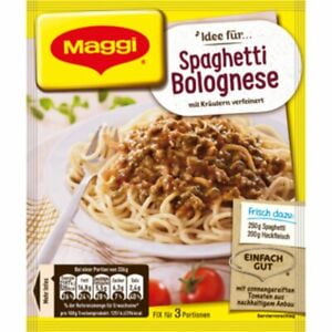 Bichon Bolognese