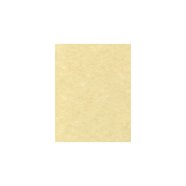 Springhill Digital Vellum Bristol Color Cover, 67 lb, 8 1/2 x 11, Ivory ...