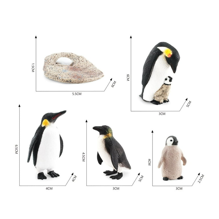 King Penguins Life Cycle