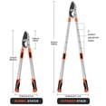 XAMFKJ 27-41" Telescopic Tree Loppers, Compound Action Branch Cutter, 2 ...