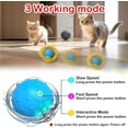 Interactive Cat Toys Ball Fast Rolling in Pocket, Motion Activate ...