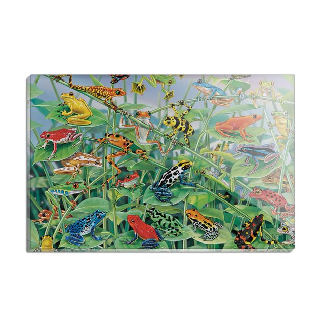 Colorful Rainforest Tree Frogs Just Hanging Around Rectangle Acrylic ...