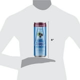 Clearly Canadian Mountain Blackberry Sparkling Water, Pure Flavor, Carbonated, 24-Pack 12 oz ...