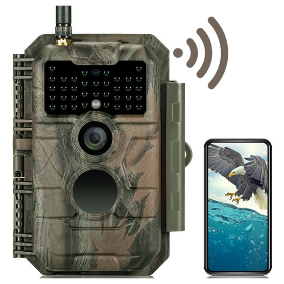 Outdoor Motion Activated Cameras