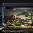 Gyugmhao Wave Maker for Aquarium,230-840GPH 6W Aquarium Circulation ...