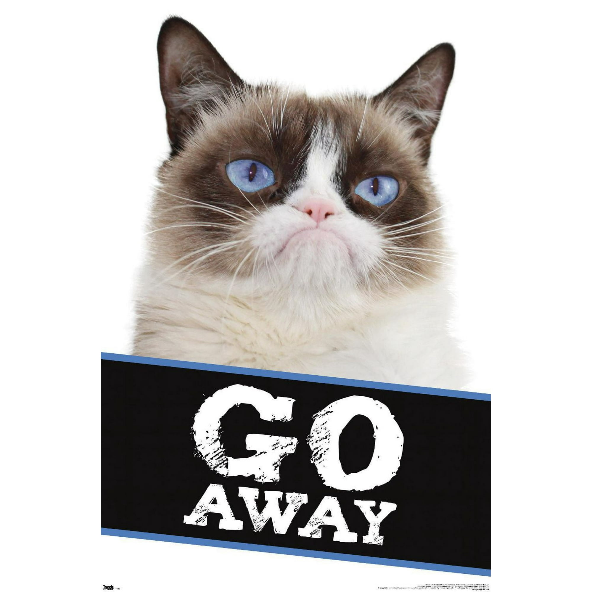 Click here for Trends International Mlb New York Yankees - Drip H... prices