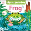 Little Green Frog (Board Book) - Walmart.com
