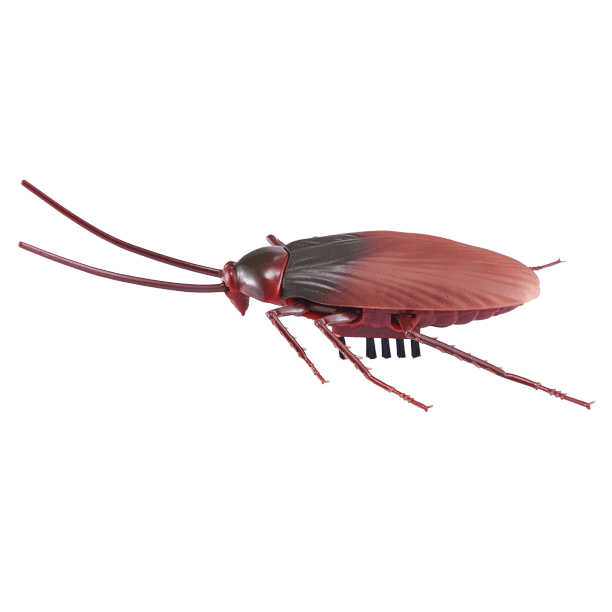 Buy Robo Alive Electronic Crawling Cockroach Battery-Powered Robotic ...