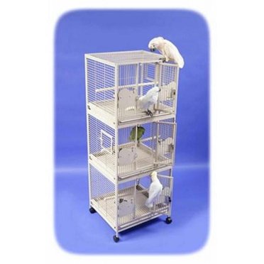 Free Shipping! A and E Cage Co. 32"x21" Double Stack Flight Cage ...