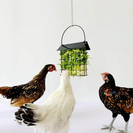 ruzhgo Hanging Feeder for Hens Chicken Suet Cage Holder for Cabbage ...