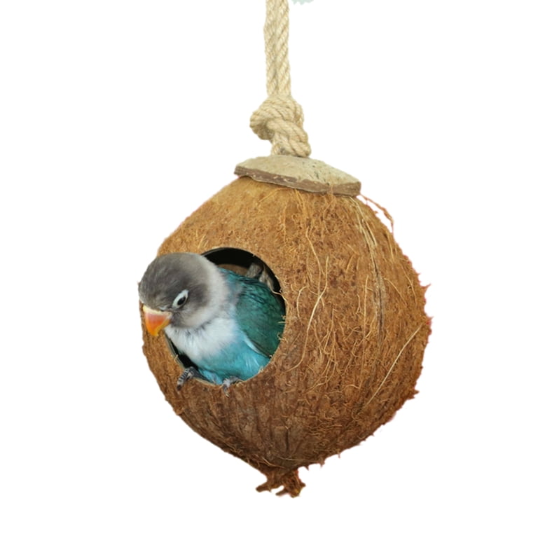 Simple Real Birds