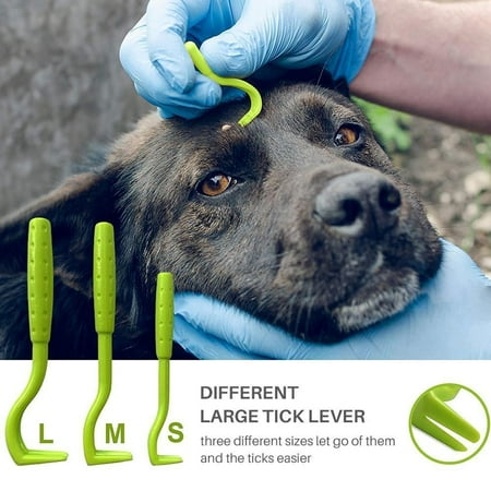 6PCS Tick Tweezers Professional Tick Hook Set Tick Remover Tick Remover ...