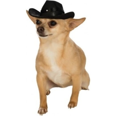 Cowboy Dog Breeds