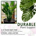 6 Pack Detachable & Assemblable Metal Plant Support Stakes - Garden ...