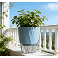 CaraMart Self Watering Plant Pot Plastic Container for Hanging Desktop ...