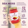 Sea Moss Gel (Sweet Stberry Banana) Wildcrafted from Jamaican St Lucia ...