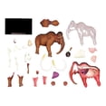 4D Wolly Mammoth Anatomy Model, by 4D Master - Walmart.com