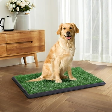 "LOMANTOWN Indoor Pet Toilet Training Mat, Artificial Grass Dog Potty ...
