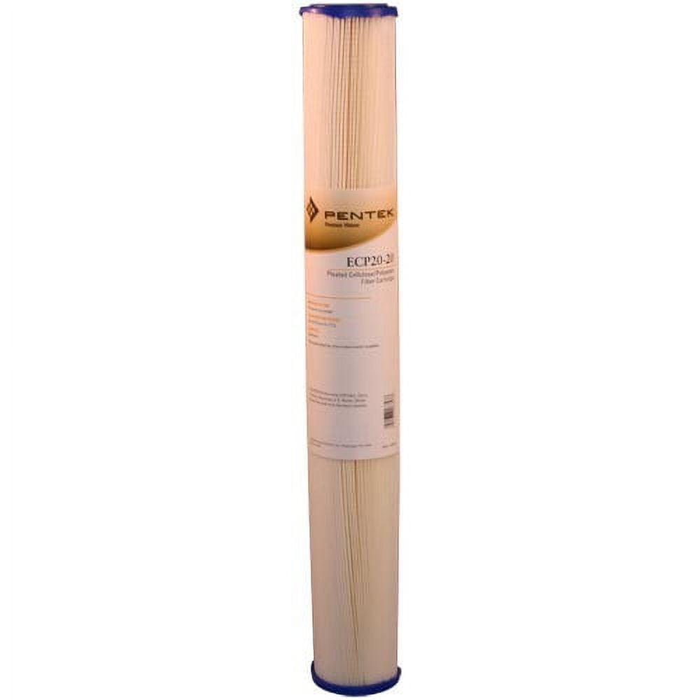 Click here for 255487-43 / Ecp20-20 Pentek Replacement Filter Car... prices