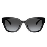 Coach HC 8379U Plastic Womens Butterfly Polarized Sunglasses Black 54mm ...
