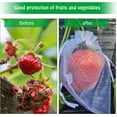 6x8 Inch 100 Pieces Organza Fruit Netting Bags - Fruit Protection Bags ...