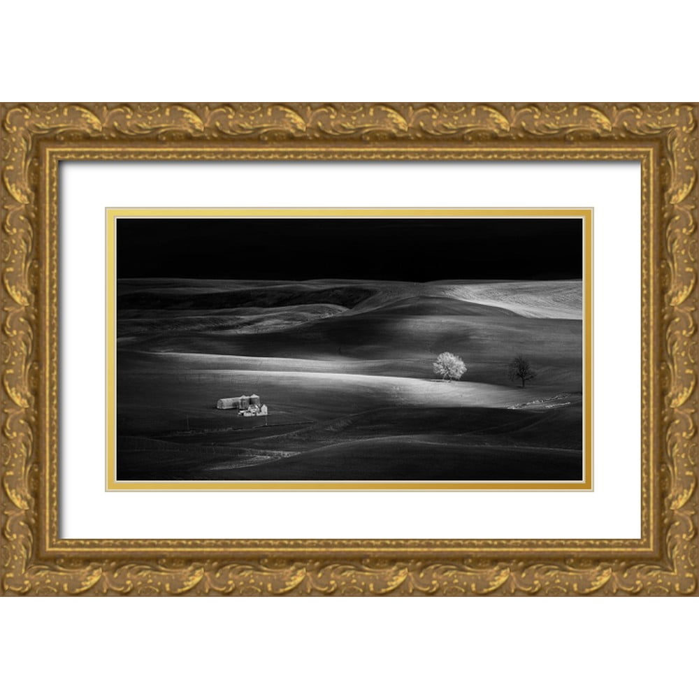 Chang, Phillip 24x15 Gold Ornate Wood Framed with Double Matting Museum ...