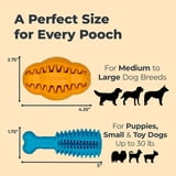 Oxyfresh 100% Natural Rubber Dog Dental Toy – Fun, Easy Way to Clean ...