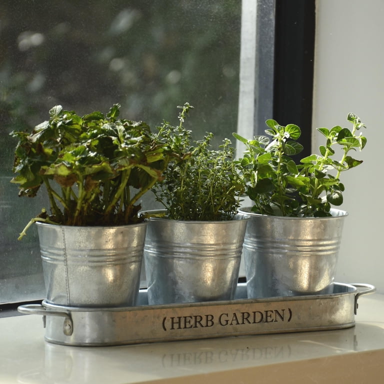 Metal Planter Indoor Herb Garden