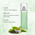 Elizabeth Arden Green Tea Fragrance Mist Spray, 8 Oz - Walmart.com