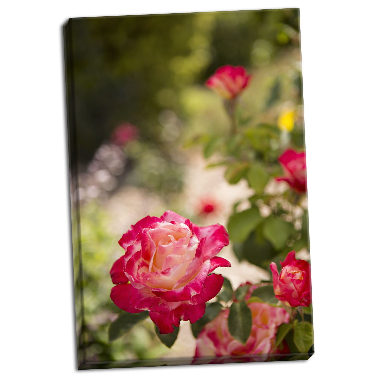 Gango Home Decor Rose Garden I by Karyn Millet (Ready to Hang); One ...