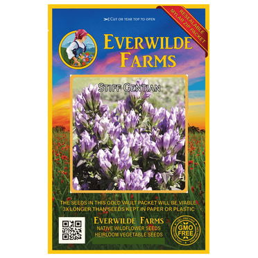 Everwilde Farms - 100 Prairie Smoke Native Wildflower Seeds - Gold ...