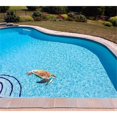 Slick Woody's 60" Sea Turtle Vinyl Underwater Pool Mat Tattoo in Brown ...