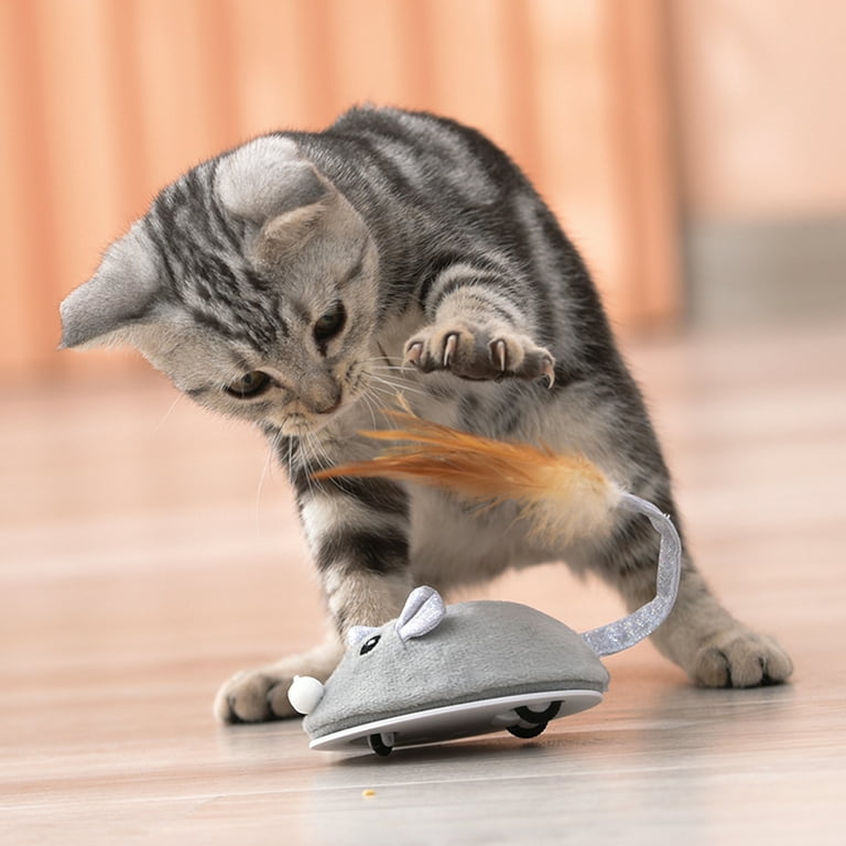 Mechanical Toy Mouse