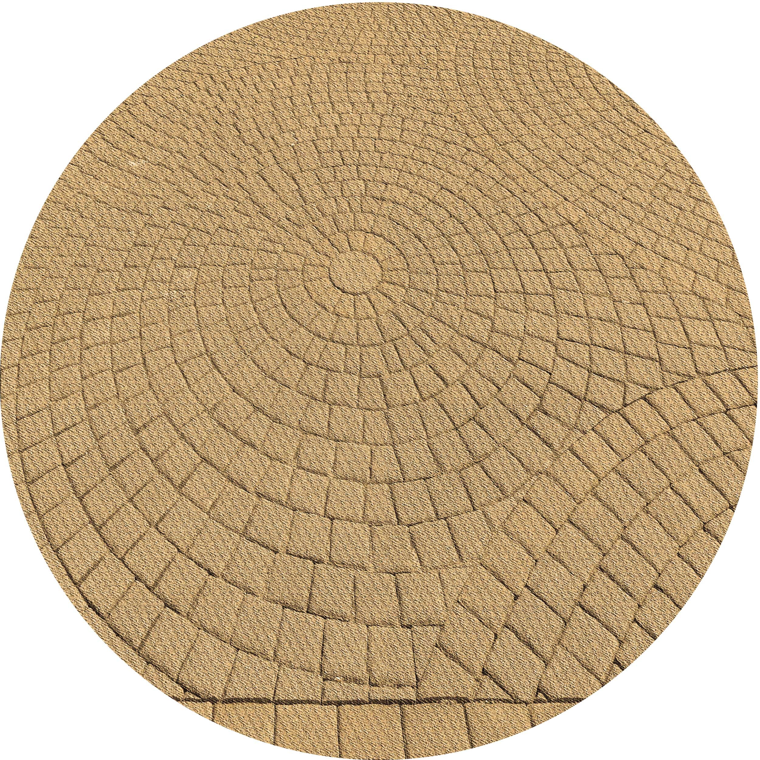 Ahgly Company Indoor Round Patterned Cantaloupe Orange Area Rugs, 6 ...