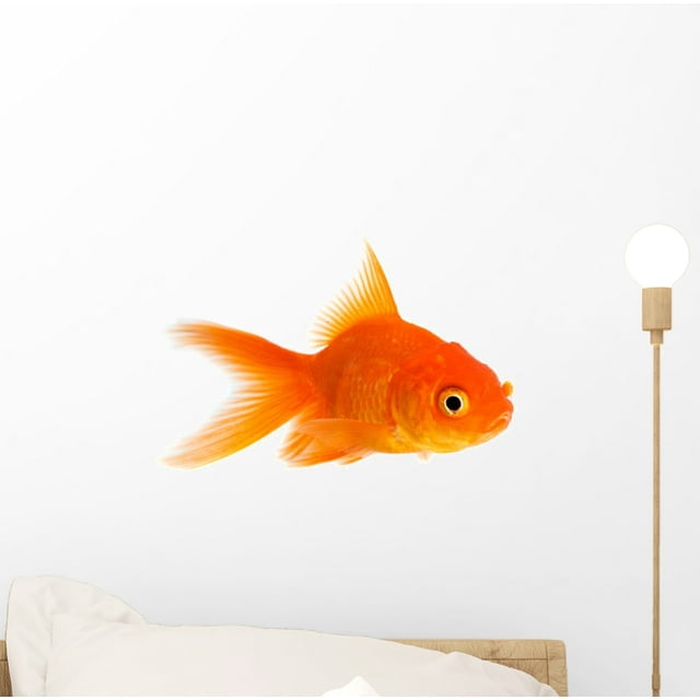 Goldfish Wall Decal by Wallmonkeys Peel and Stick Graphic (12 in W x 8 ...