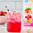 Great Value Berry Punch, 52 fl oz - Walmart Business Supplies