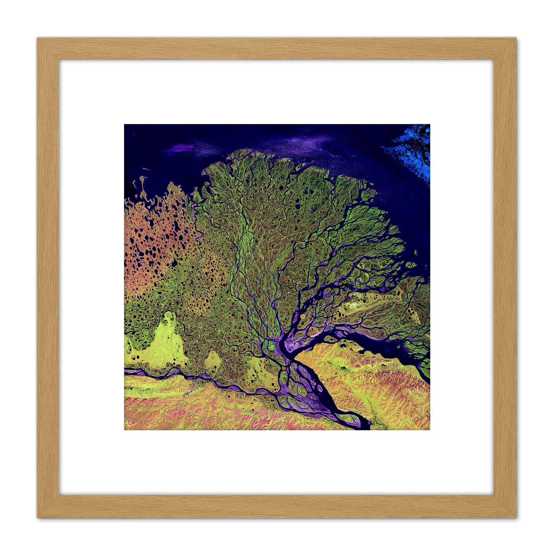 Landsat Satellite Lena River Delta Photo 8X8 Inch Square Wooden Framed ...